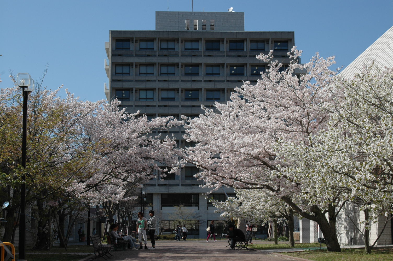 Event Information – Japan University English Model United Nations